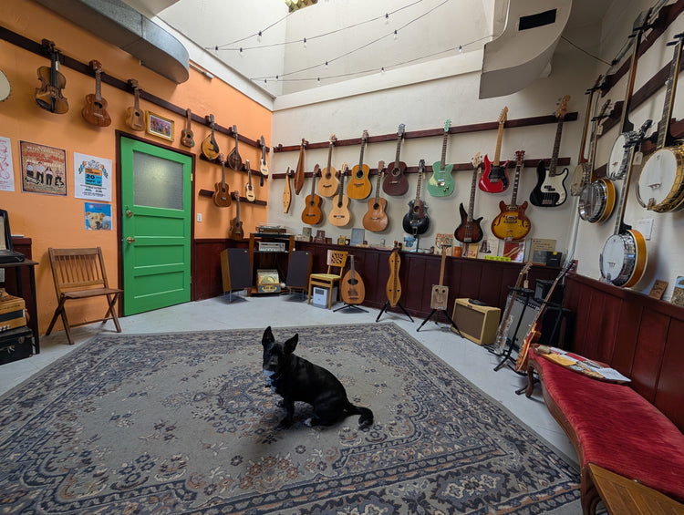 The Sound Post | Antique • Vintage • Pre-Owned Instruments